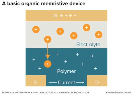 Making Computer Chips Act More Like Brain Cells Big Think