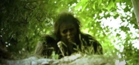 Idaho Bigfoot On Twitter Georgeseminara Rmsobigfoot Could You Feel