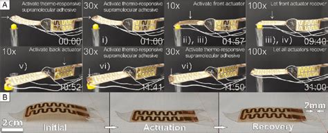 A Picture Series Showing Two Individually Controlled Download Scientific Diagram