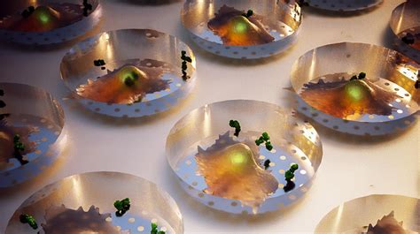 Nanoplasmonic Imaging Reveals Real Time Protein Secretion Epfl