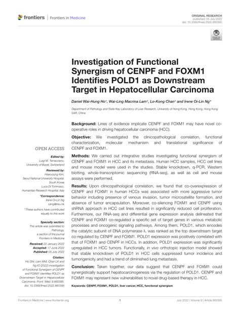 PDF Investigation Of Functional Synergism Of CENPF And FOXM1
