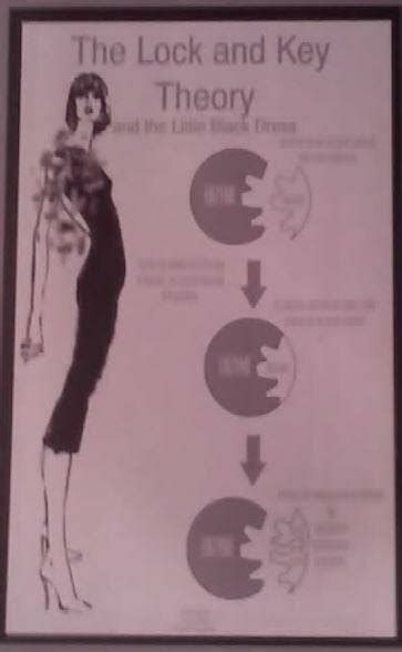The Lock Key Theory Download Scientific Diagram