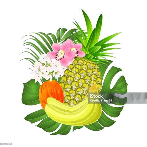 熱帶水果鳳梨和香蕉和蘭花與熱帶葉菲庫斯 棕櫚 菲洛登龍復古向量插圖可編輯向量圖形及更多健康的生活方式圖片 健康的生活方式 健康飲食