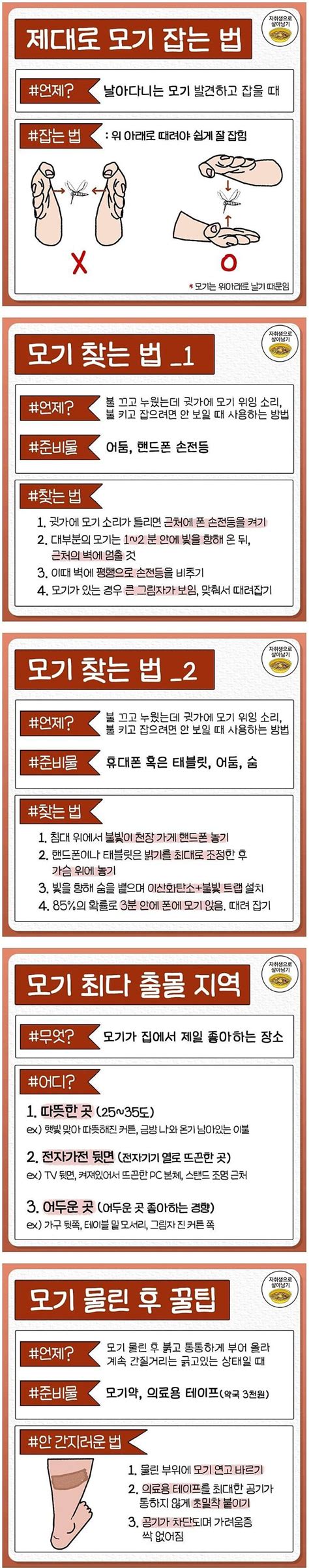 제대로 모기 잡는 법 인스티즈 Instiz 이슈 카테고리