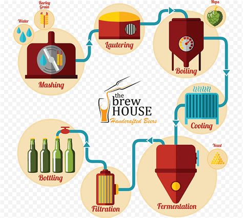 축제 맥주 에일 양조 라거 양조장 인포 그래픽 수제 맥주 Png Klipartz