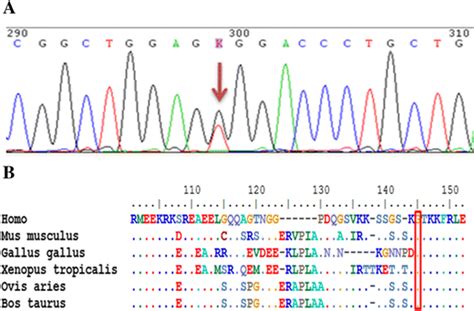 Mutation Analysis A Dna Sequence Chromatogram Analysis Dna Sequence