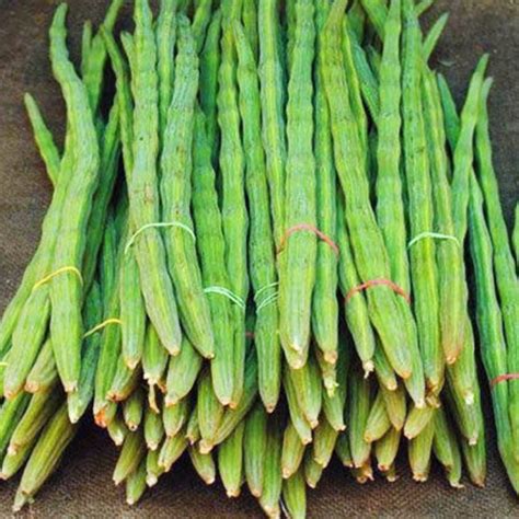 Maharashtra A Grade Fresh Drumstick Vegetable Loose At Rs 60kg In Nashik