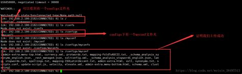 Solr安装（集群版）solr8集群安装 Csdn博客