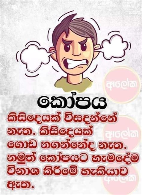 Chilaw Urban Council Chilaw Town