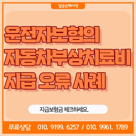 자동차부상치료비자부치 정말 제대로 받으셨나요feat 지급 오류 수정 사례 네이버 블로그
