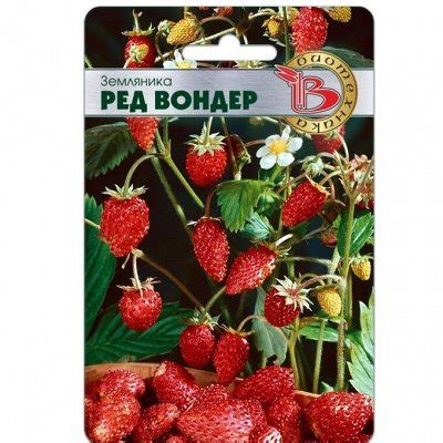 🌱 Биотехника. Семена нашего времени. Цветы. Арбузы. Томаты. Семена ...
