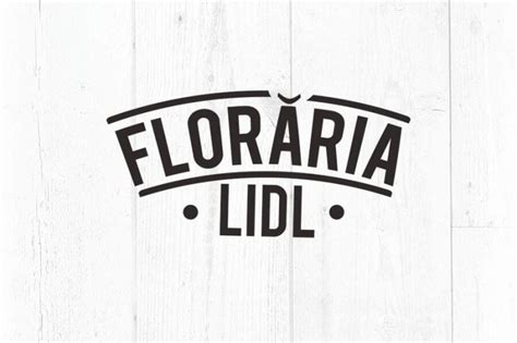Oferte Catalog Lidl Iulie 2025 Promotii Si Reduceri