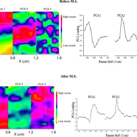 Results Of Pca Scores Obtained From Xy Profiles And One Dimensional