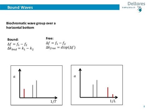 Dsd Int 2018 Non Hydrostatic Wave Modelling Of Nearshore Processes Wi