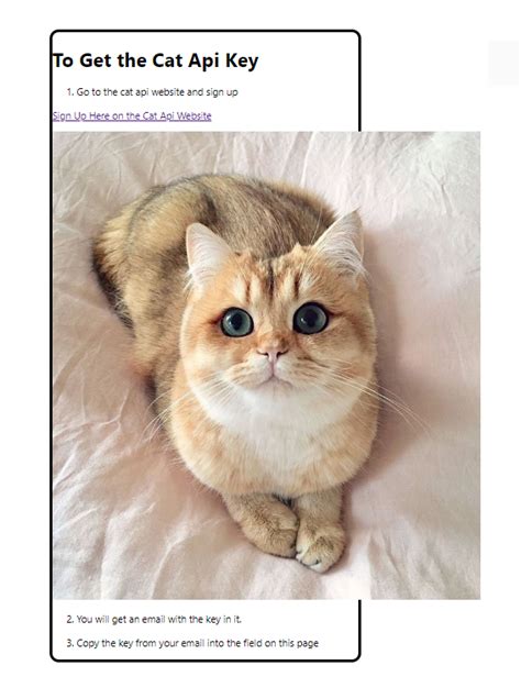 Rendering Markdown And Resizing Images With React Markdown Jacob