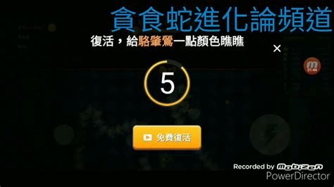 貪食蛇進化論頻道第五十四集貪食蛇進化論頻道 54 YouTube