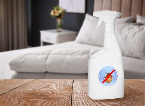 Reasons Why Heat Treatment Works Better Than Bed Bug Spray