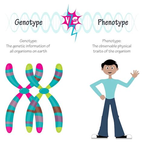 Premium Vector Vector Illustration Of The Differences Between