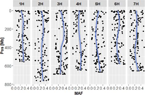 Distribution Of Minor Allele Frequencies Mafs Along With Barley