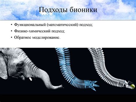 Бионика, как наука - презентация онлайн