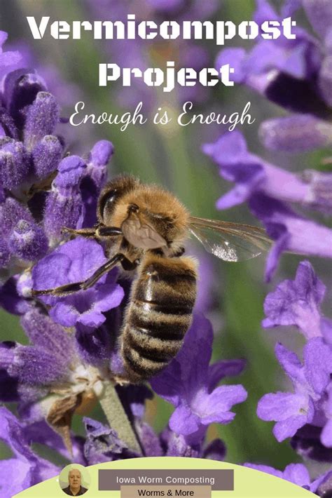 Vermicompost Project 3 Reasons To Start Vermicomposting Today Artofit