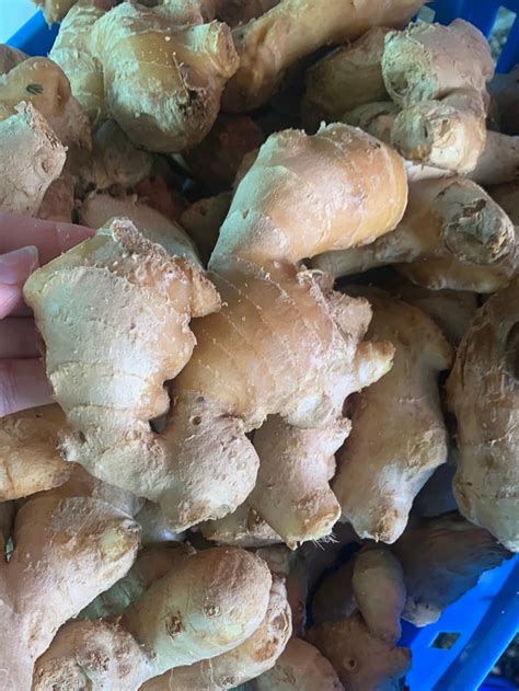 Ginger Chino Valley Produce Company Llc