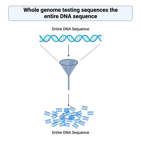 All About Genetic Sequencing Tess Research Foundation