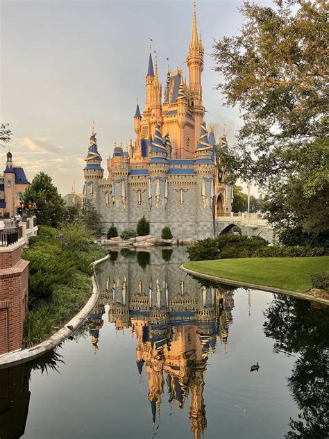 Disney Castillo Reflexión Foto Gratis En Pixabay Pixabay