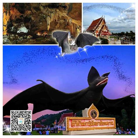 ชมค้างคาวร้อยล้าน เทศกาลแสงไฟและสื่อประสม จังหวัดราชบุรี