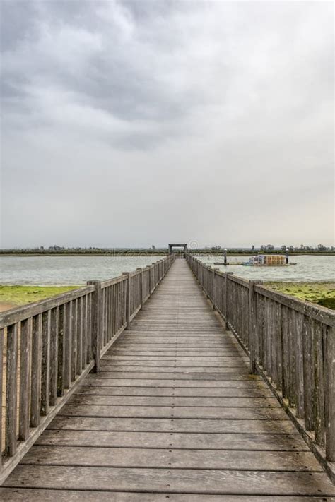 Wooden Path In The Natural Park Of Los Torunos Located In The Town Of El Puerto De Santa Maria