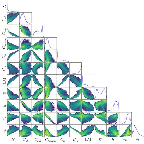 Biophysical Parameter Retrieval From Sentinel Images Using Physics