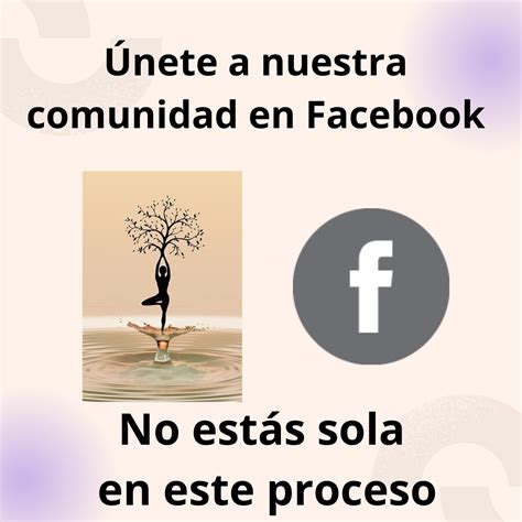 Beneficios De La Moringa En La Menopausia