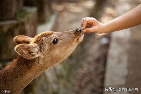 一道題學會滅火器的維修報廢一次掌握12消防個核心考點 每日頭條