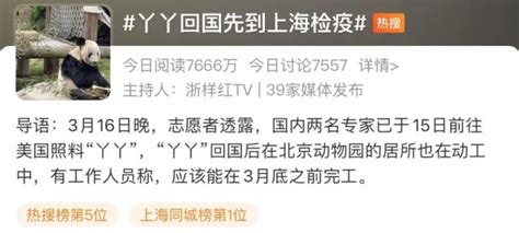 丫丫回国新进展：将先到上海检疫！最新视频曝光腾讯新闻