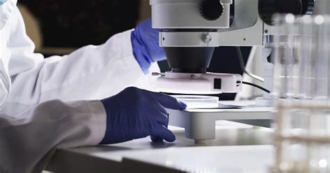 과학 현미경 렌즈 과학자 손 및 실험실 연구 의료 혁신 및 생물학 테스트 줌 페트리 접시 물리학 교수 및 Dna 박테리아 의학 분석을 연구하는 화학 전문가 클로즈업에 대한