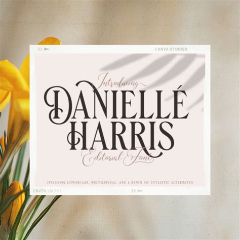 Danielle Harris Cursive Font Bold Font Script Fonts Display Font Calligraphy Fonts