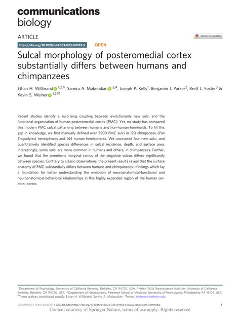 Pdf Sulcal Morphology Of Posteromedial Cortex Substantially Differs