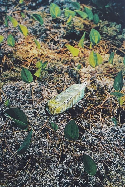 木刻手繪墜飾 羽毛 家の形｜其他人氣榜 Pinkoi