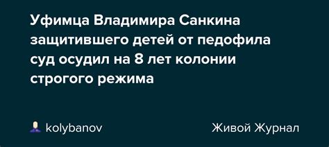 Уфимца Владимира Санкина защитившего детей от педофила суд осудил на 8 лет колонии строгого
