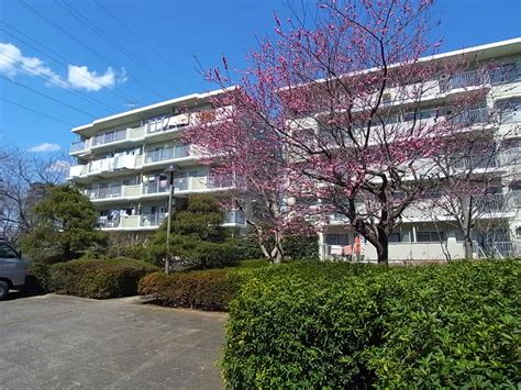 千葉ニュータウン 内野団地（千葉県印西市）−団地r不動産−