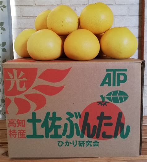 贈答用家庭用混合 文旦 M 10kg（28個～） マルツジ果樹園