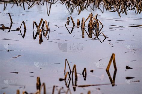 奇特的反射模式