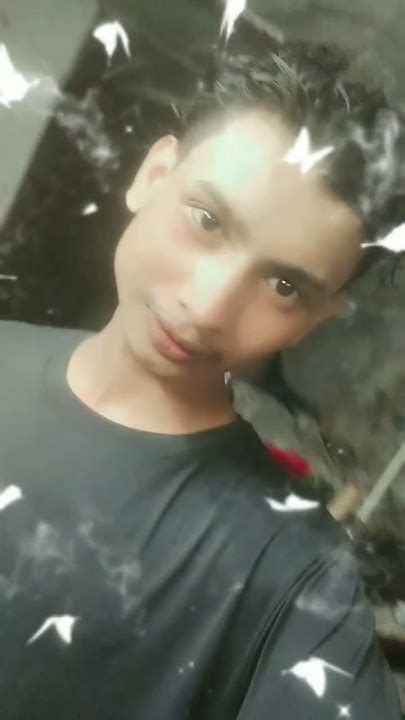 🥰🥰💞 ️😘 News Unfrezzmyaccount Love Viralvideo Wine Music Song Python Youtubeshorts Youtube