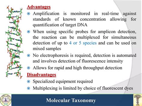 Molecular Taxonomy Pptx