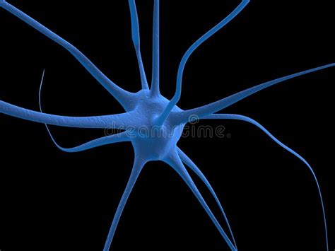 Menselijke Zenuwcel Stock Illustratie Illustration Of Biologisch 5563829