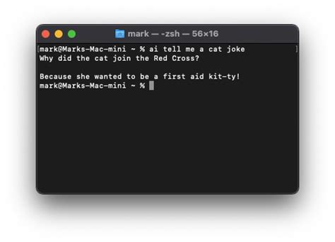 i created a simple shell script to embed chatgpt in the mac terminal