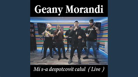Mi S A Despotcovit Calul Live YouTube
