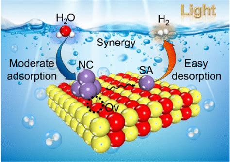 Species Heterogeneity And Synergy To Boost Photocatalytic Hydrogen Evolution Acs Catalysis