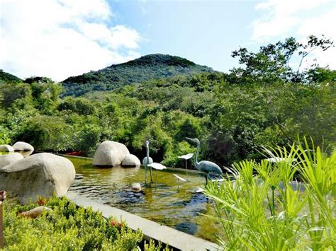 亞龍灣熱帶天堂森林公園 一幅幅美畫 無法忘懷的大自然之旅 每日頭條