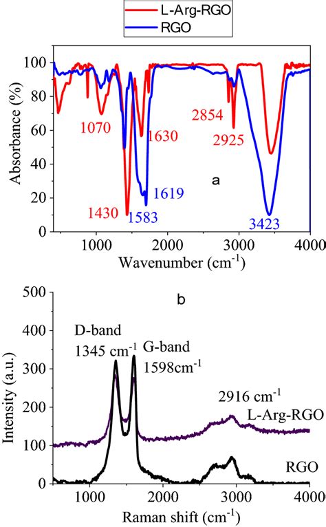 Ft Ir Spectra A And Raman Spectra B Of Rgo And L Arg Rgo Download Scientific Diagram
